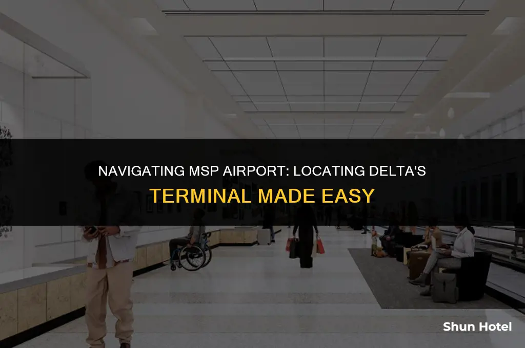 Navigating Msp Airport: Locating Delta's Terminal Made Easy | ShunHotel