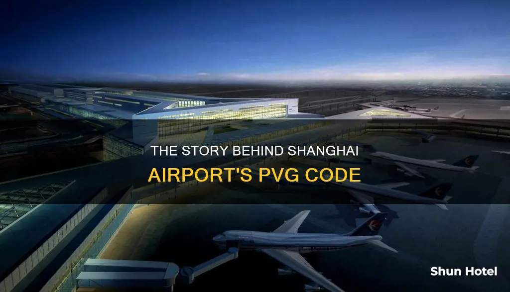 The Story Behind Shanghai Airport s Pvg Code ShunHotel The Story Behind Shanghai Airport s Pvg Code ShunHotel